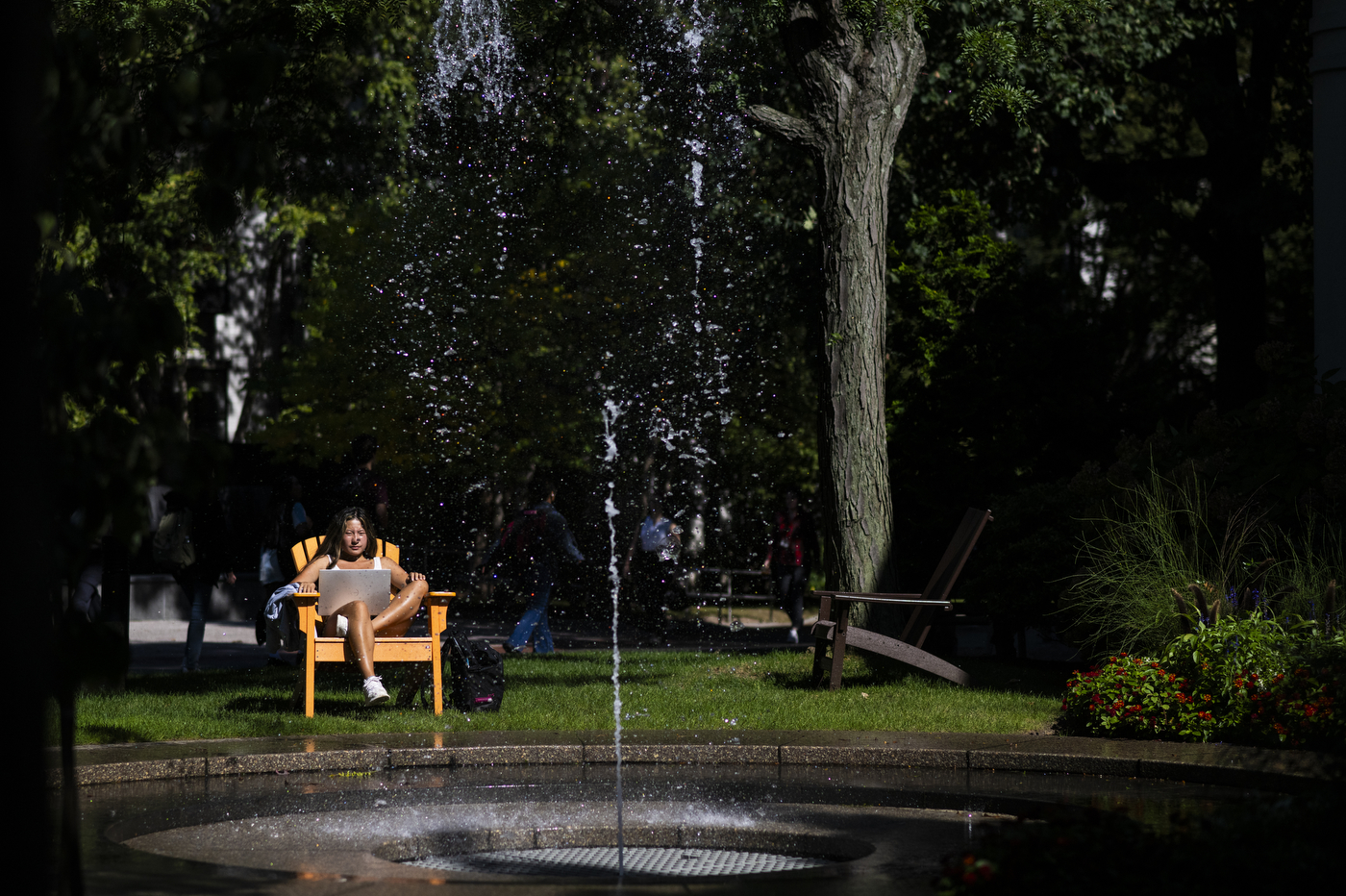 Bask in the sun - Northeastern Global News