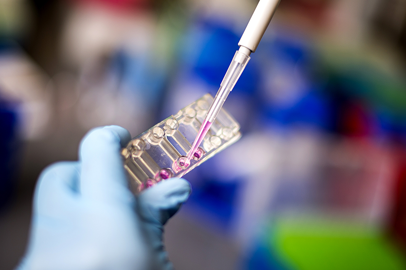 Redefining Aging Research Through Diversity and Representation