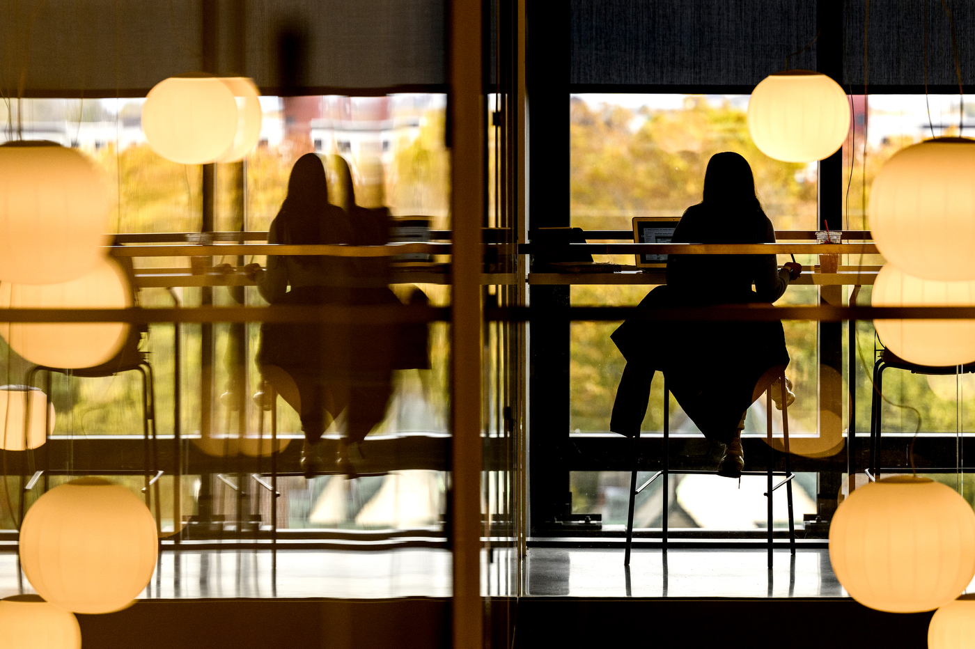 Nose in the books - Northeastern Global News