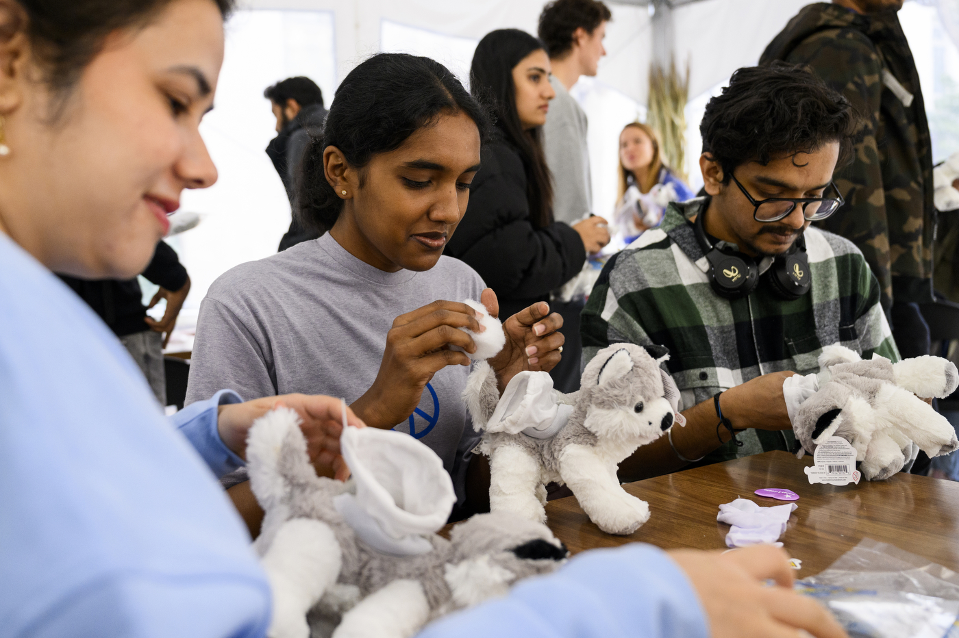 Build-A-Husky - Northeastern Global News