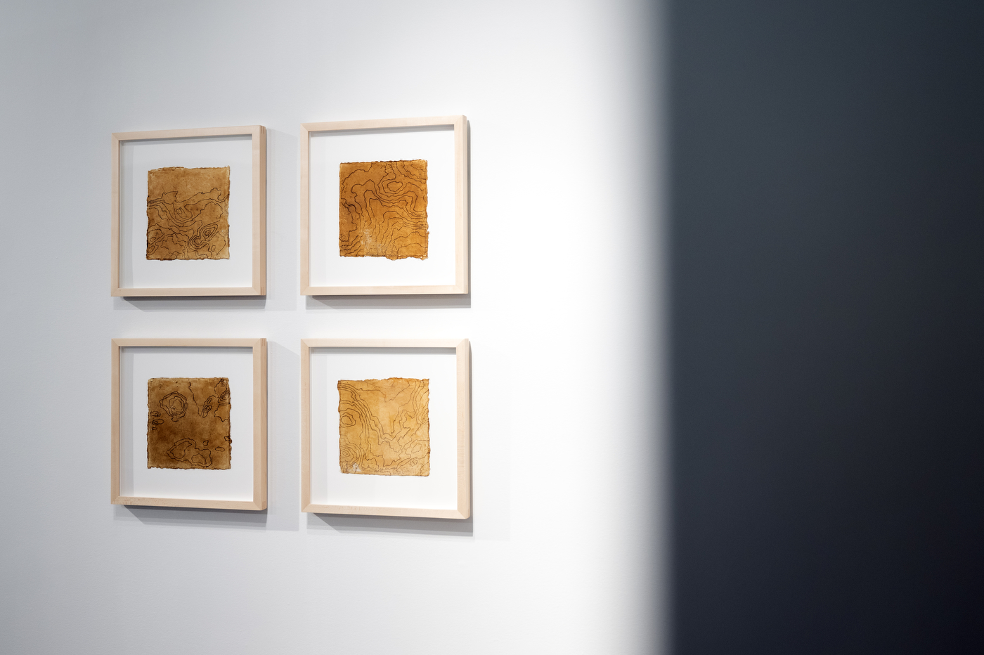 New Gallery 360 Exhibit Explores Links Between Land and Bodies