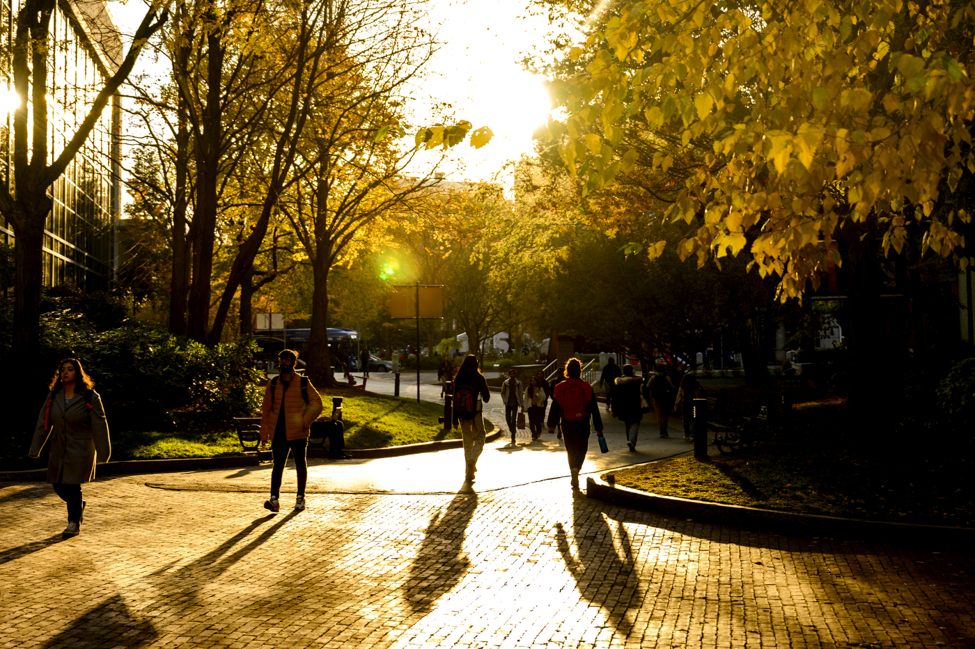 Under the autumn sun - Northeastern Global News