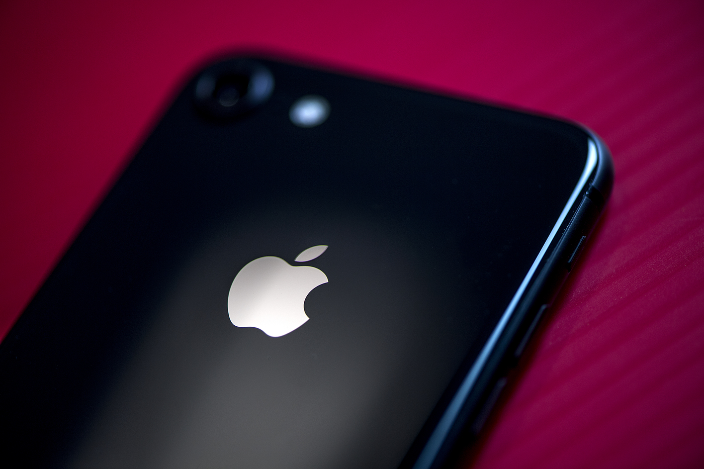 Spring to life - Northeastern Global News