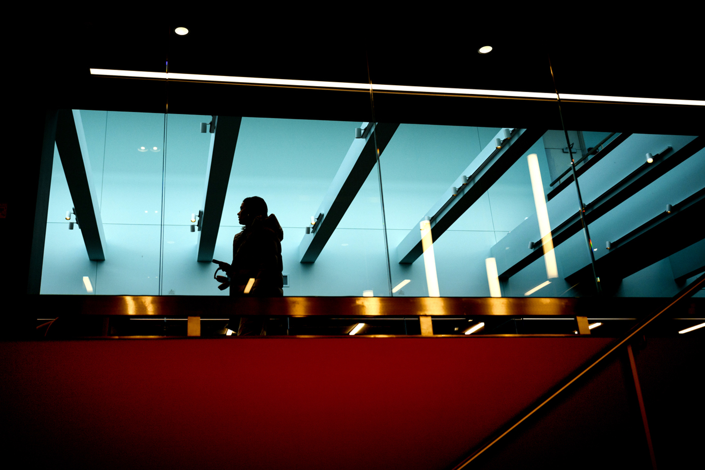 Hit the library - Northeastern Global News