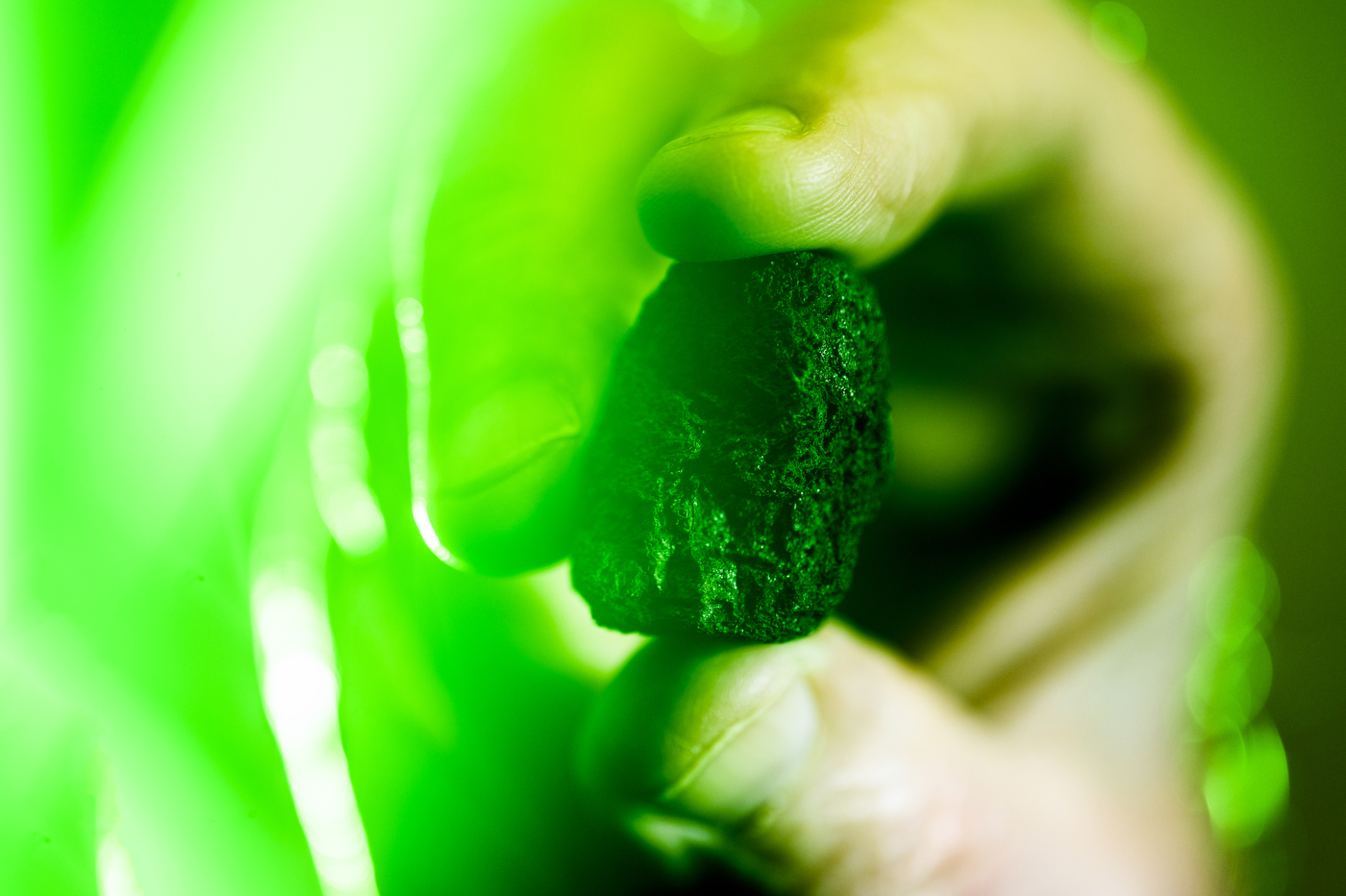 The untold story of how two Northeastern professors analyzed moon rocks ...