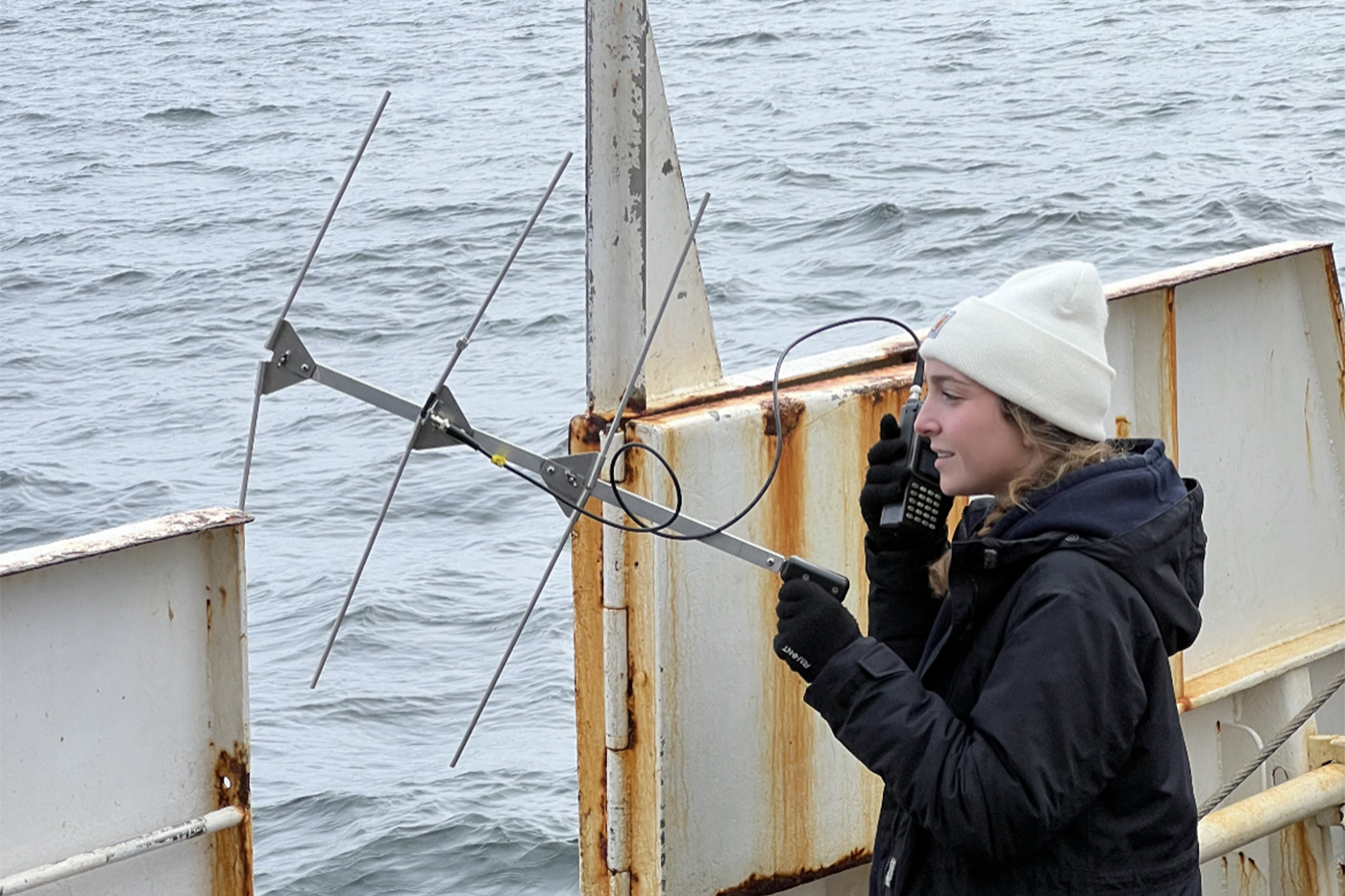 Why is the Noise from Pickleball so Annoying?