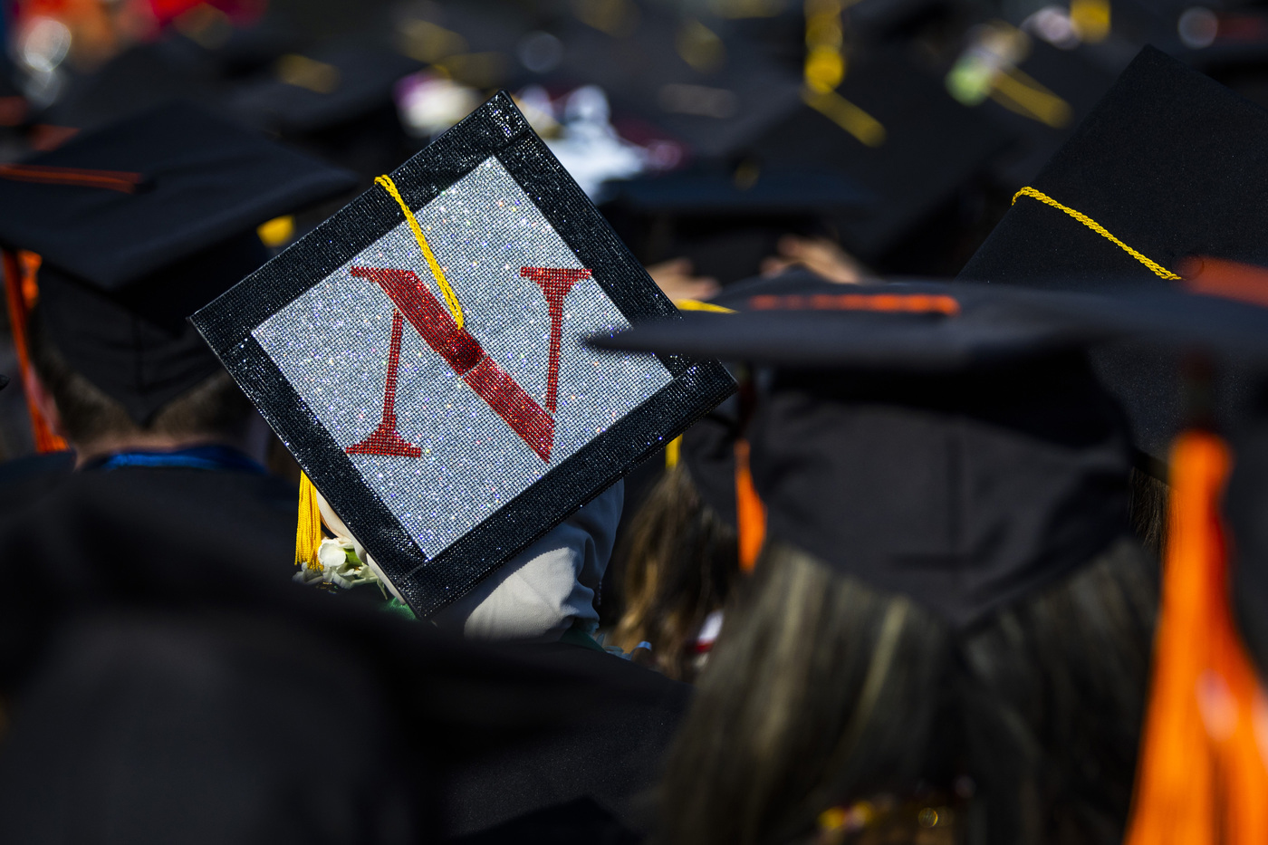 A Preview of Northeastern’s 2024 Senior Week Celebration