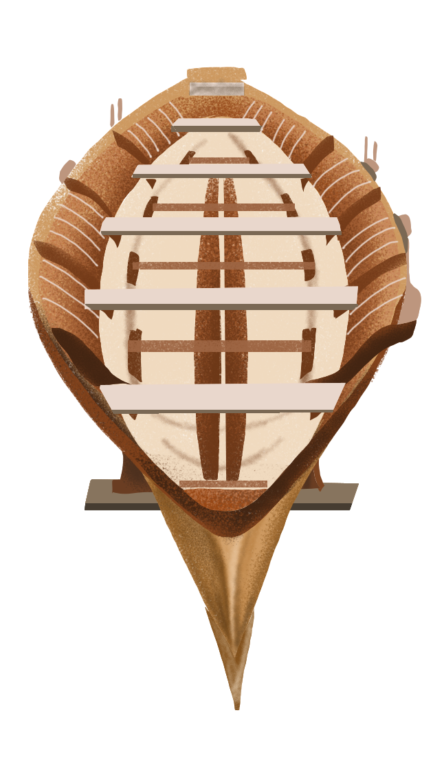 How has the sport of rowing evolved in the past 50 years ...