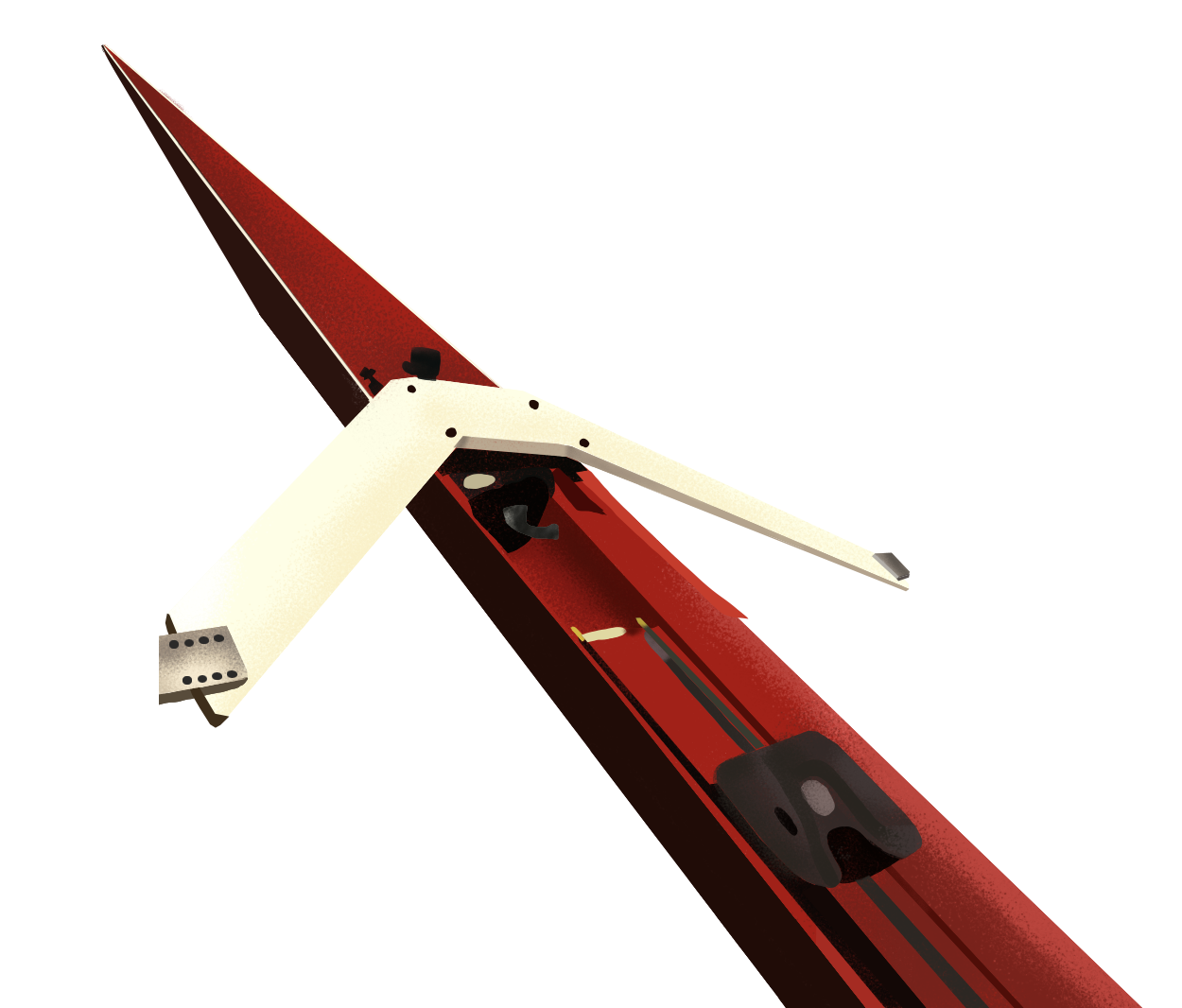 How has the sport of rowing evolved in the past 50 years ...