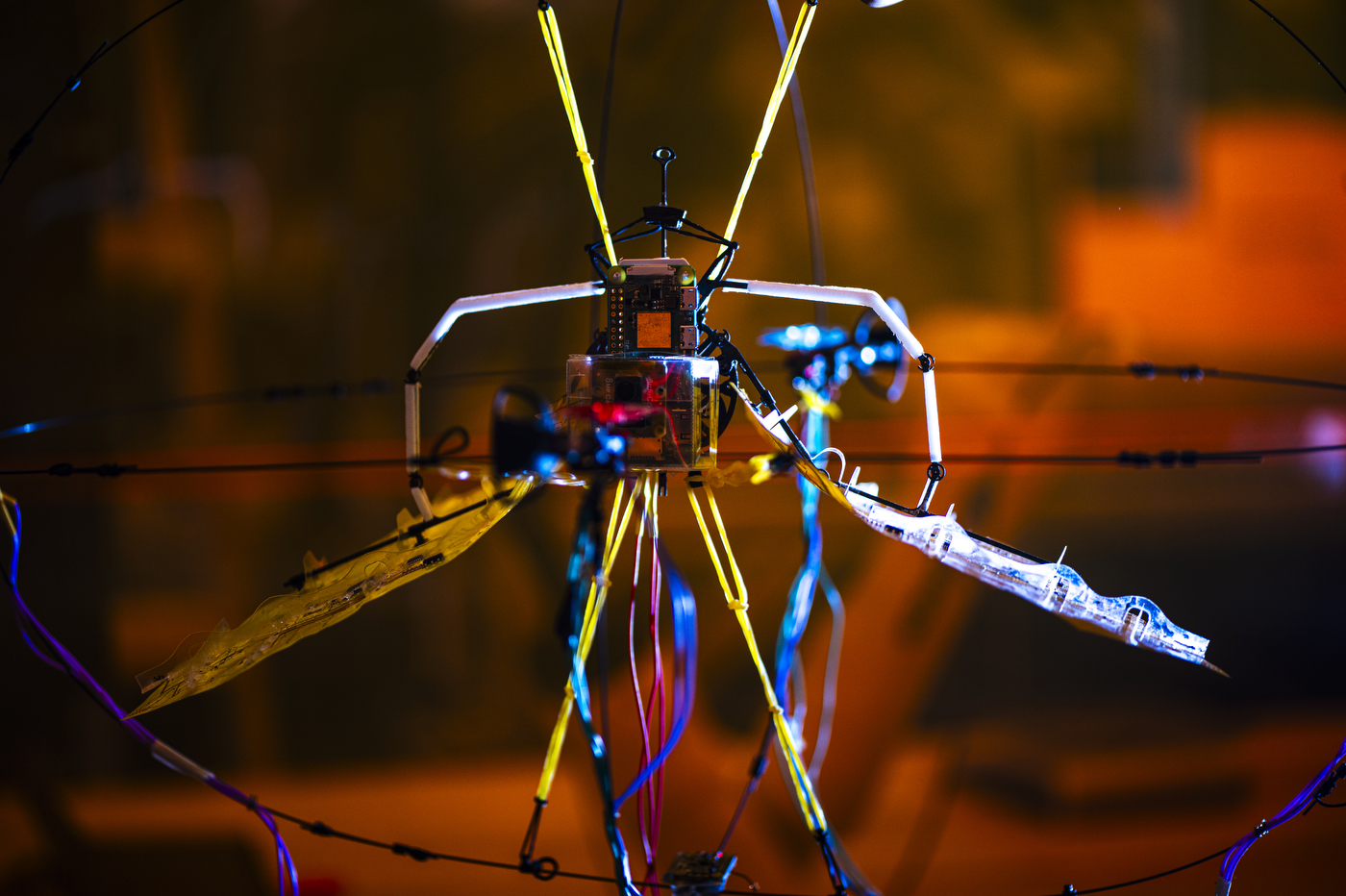 A Bat-Inspired Flying Robot Could Revolutionize Exploration