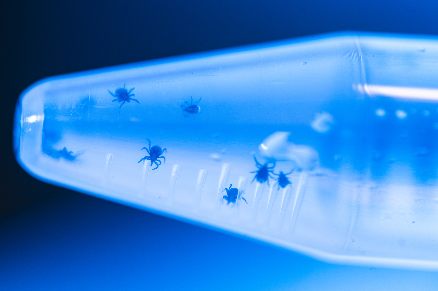 What Should You Do With an Expired COVID Test?