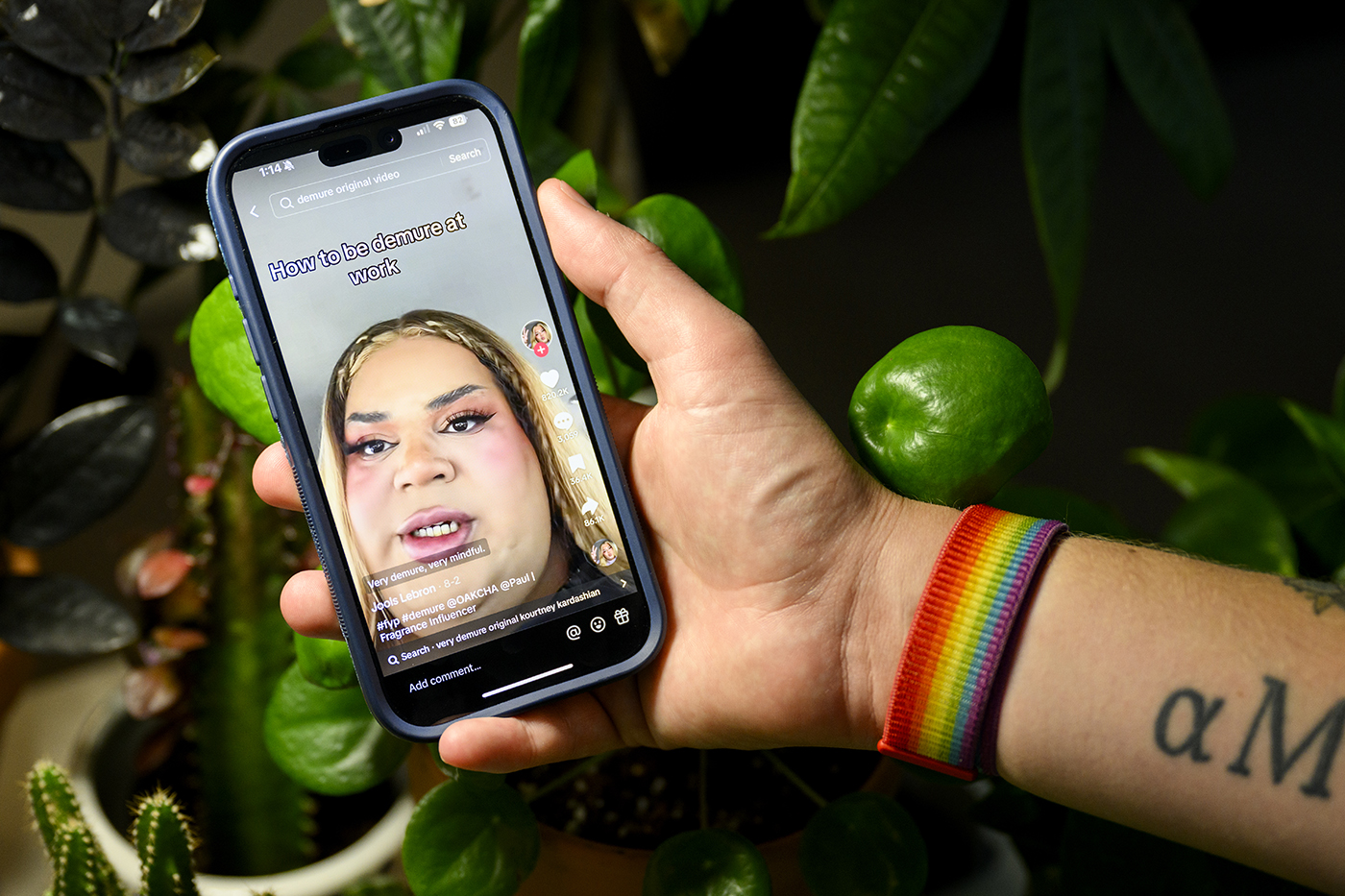Litter Boxes in Schools is the Rumor that Just Won't Quit