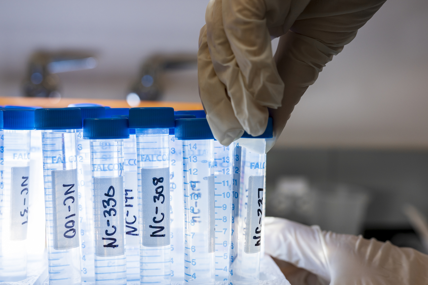 Researchers Empower NC Communities with Well Water Testing