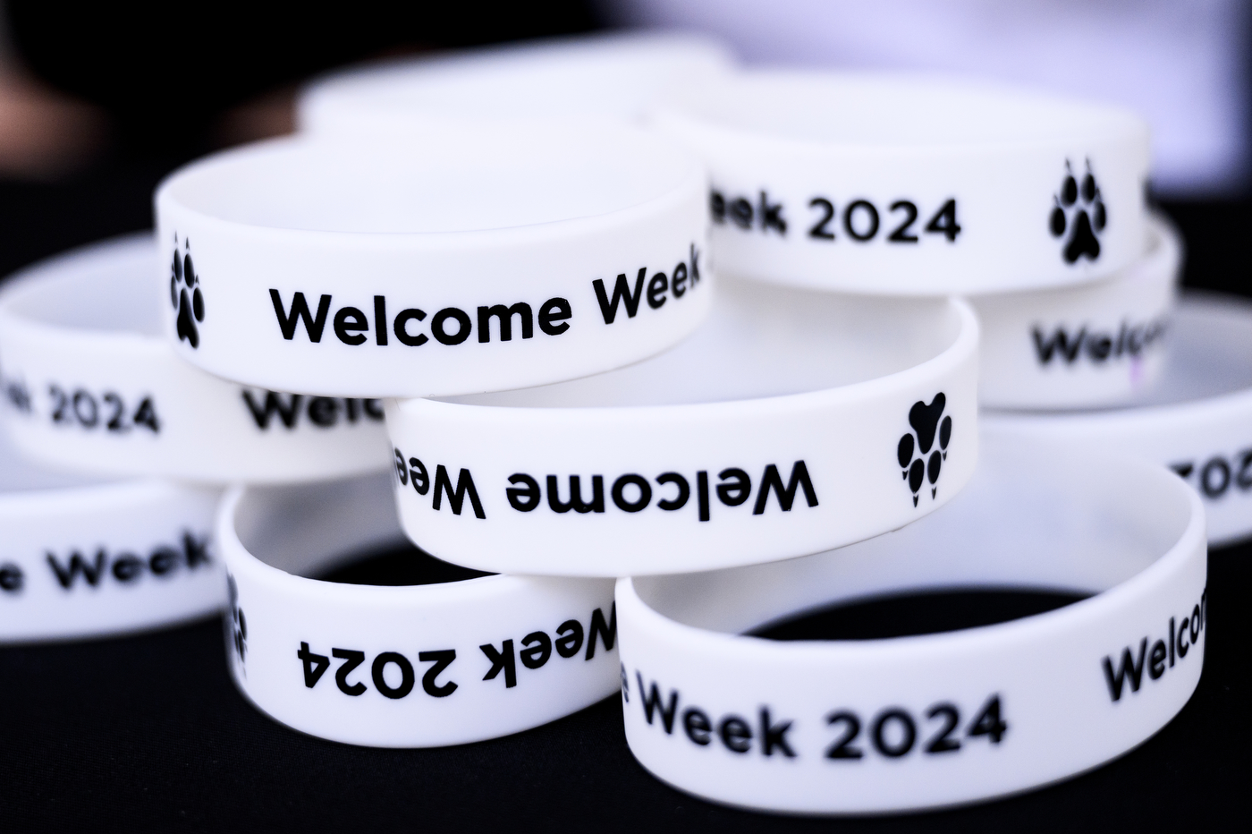 Welcome Week 2024 Events Kick Off with Campus Celebration
