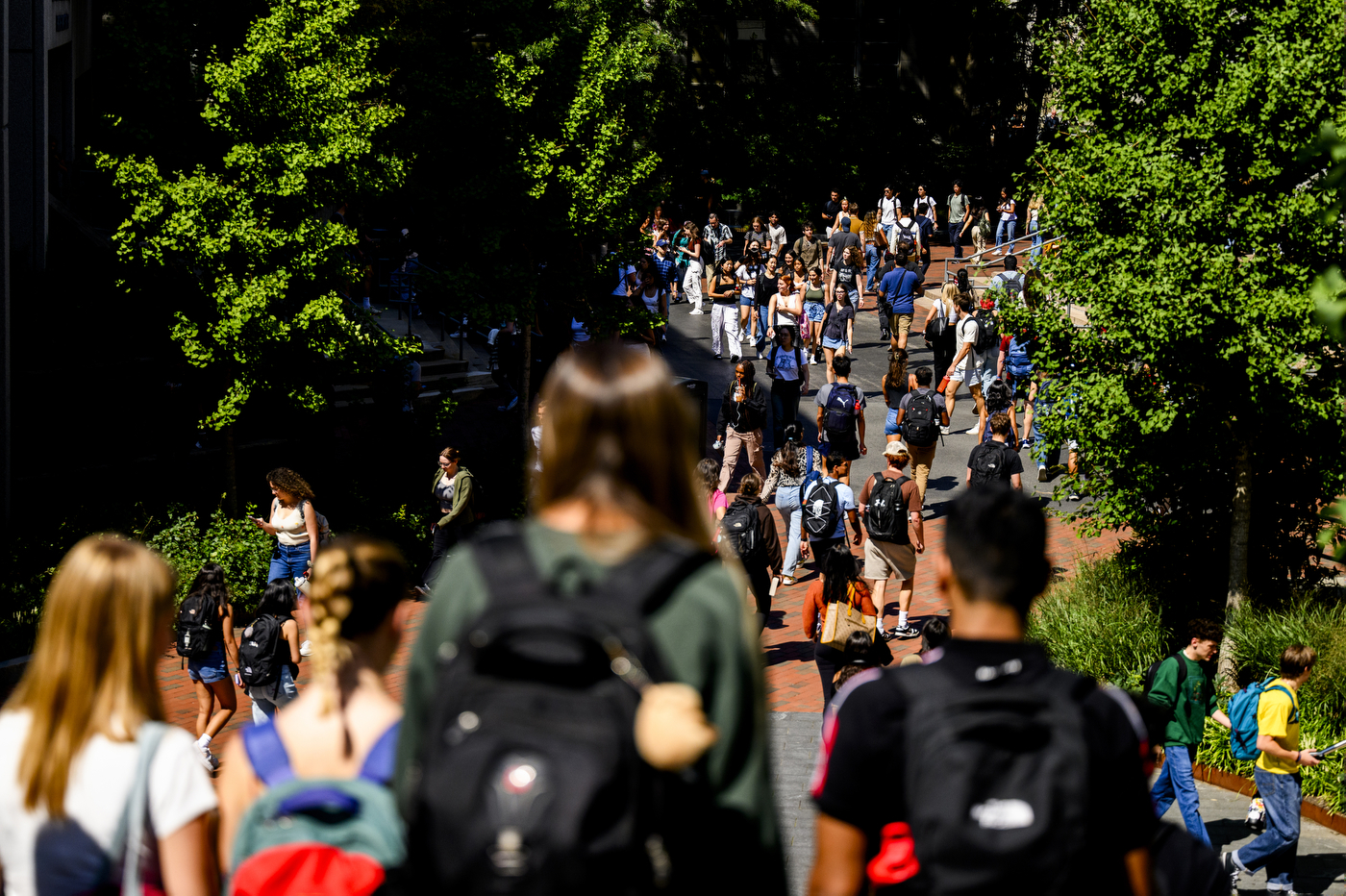 Northeastern Announces Incoming Class Enrollment Statistics