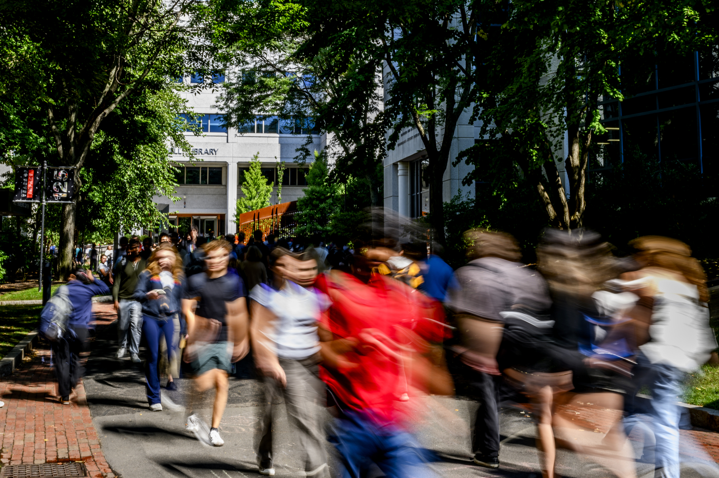 Unpacking the debate over person-first vs. identity-first language in ...