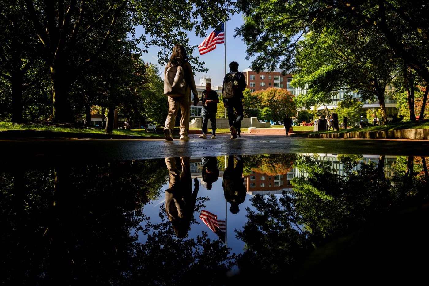 Caught in reflection - Northeastern Global News