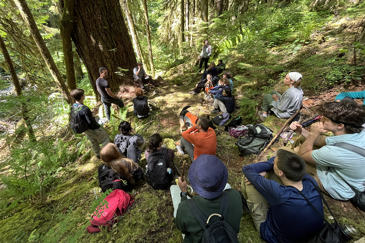 Students Bond With Ancient Old Growth Forests of the Pacific NW