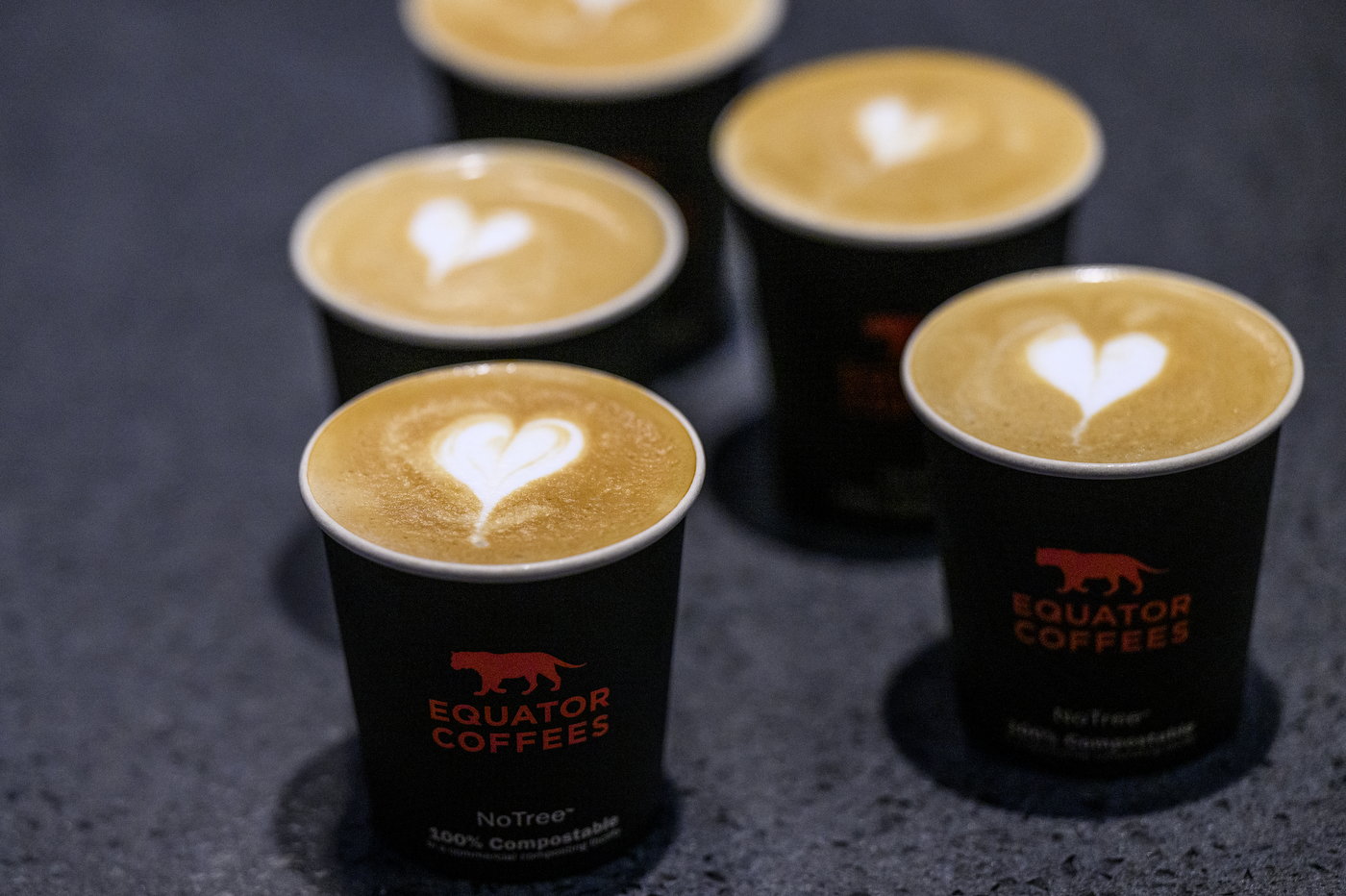Equator Coffees Co-founder Celebrates Snell Library Opening