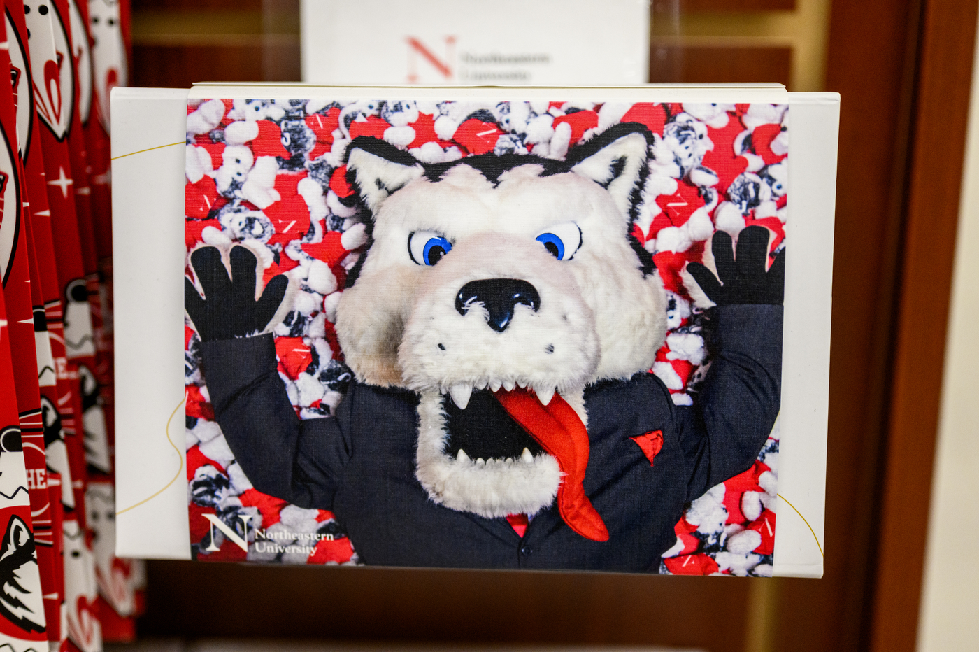 Most Popular Northeastern Gifts of the 2024 Holiday Season