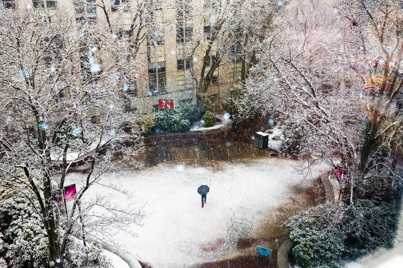 Photos: Golden hour, snowfall and winter break - Northeastern Global News