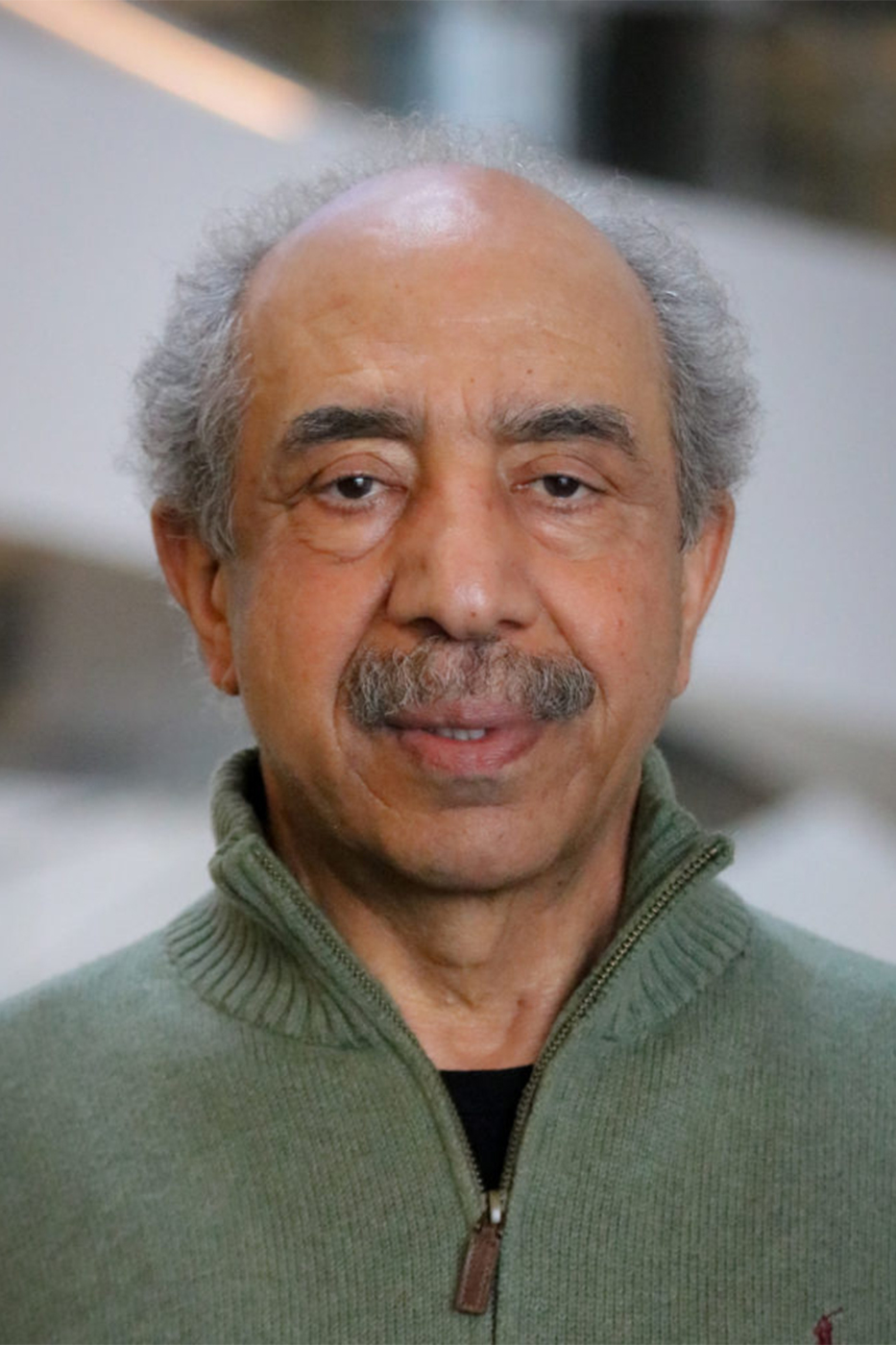 What Does the Fall of Assad Mean for Syria’s Future?