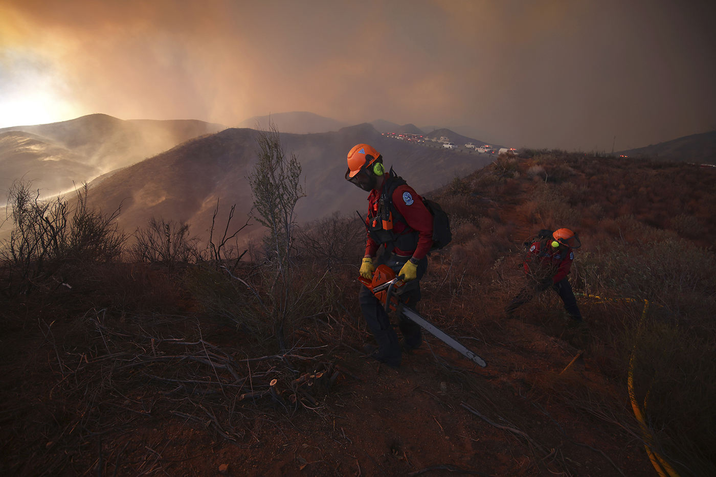 Why the Shrubs, Plants Burned in LA Area May Be Gone Forever