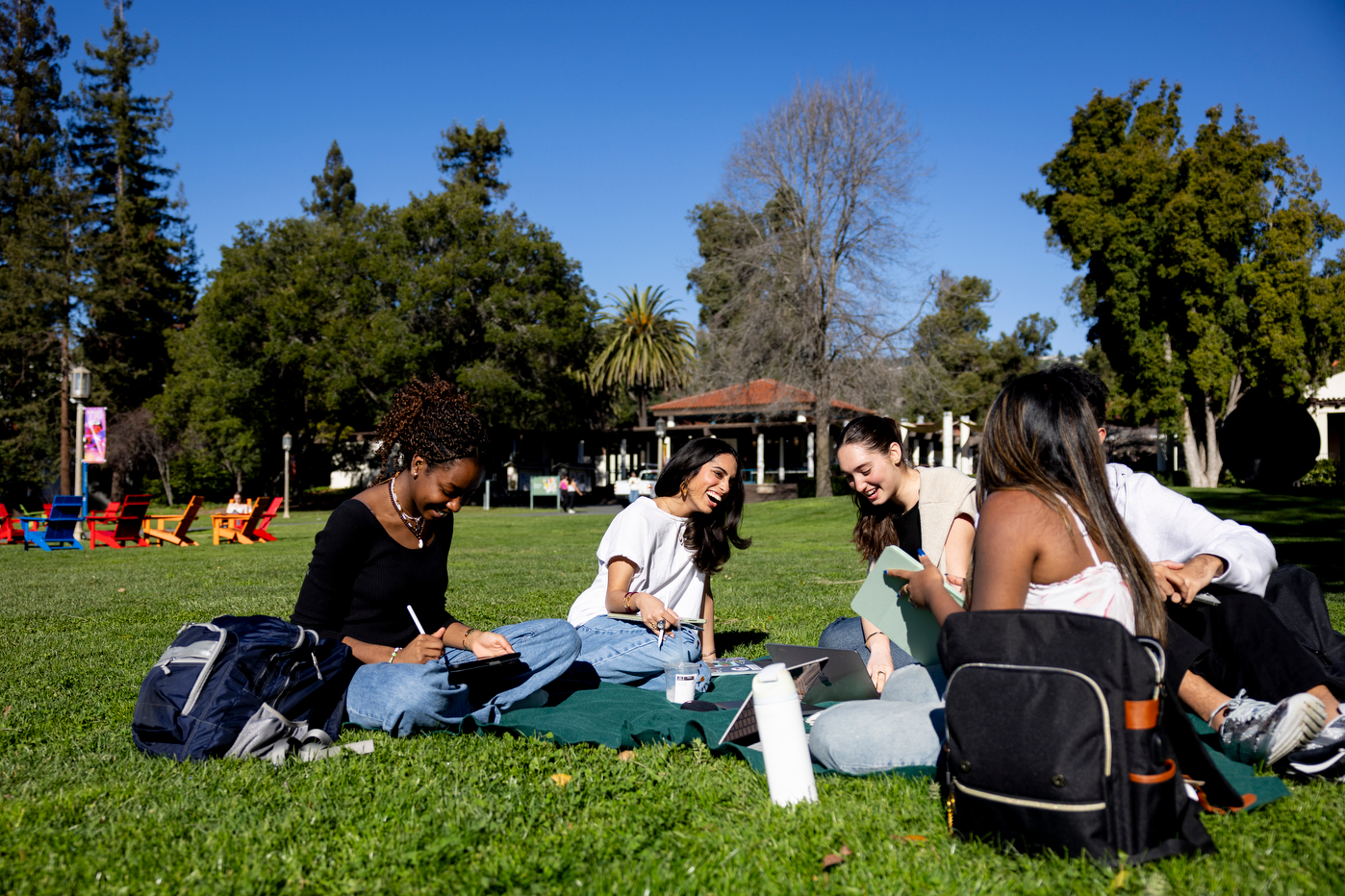 A picnic of ideas - Northeastern Global News