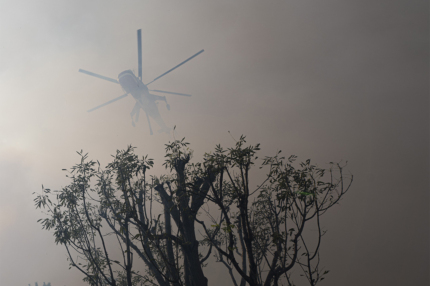 Mary Queen of Scots Letters Decoded By Historian After 450 Years