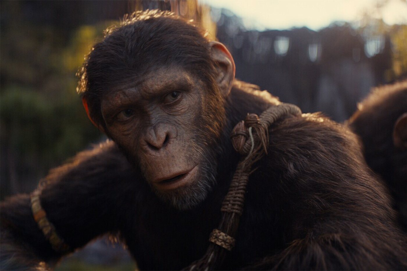 Why Digital Apes are the Real Winners of the Oscars Visual Effects