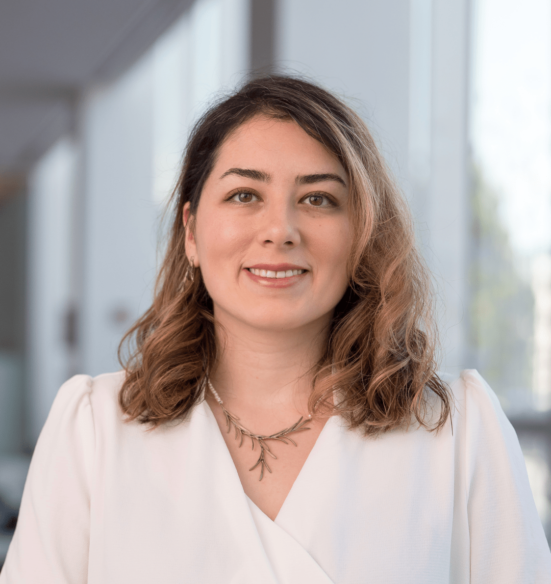 Malihe Alikhani - Northeastern Global News