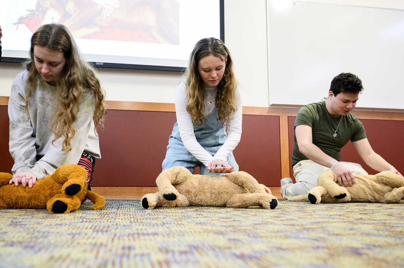 CPR Training Saves Lives. That’s True for Pets, Too.