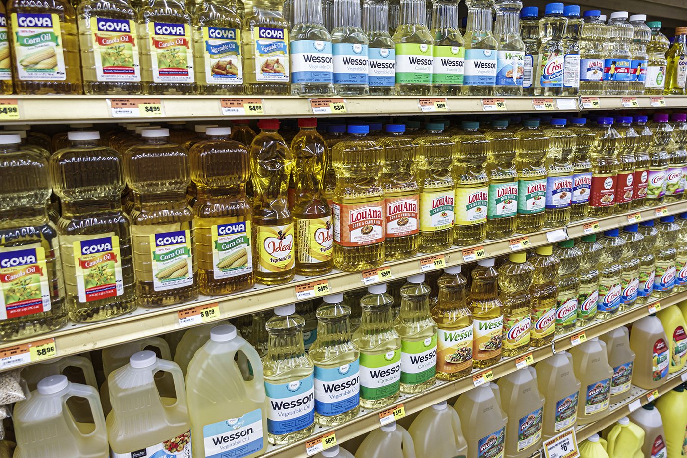 Are Seed Oils Bad For You?