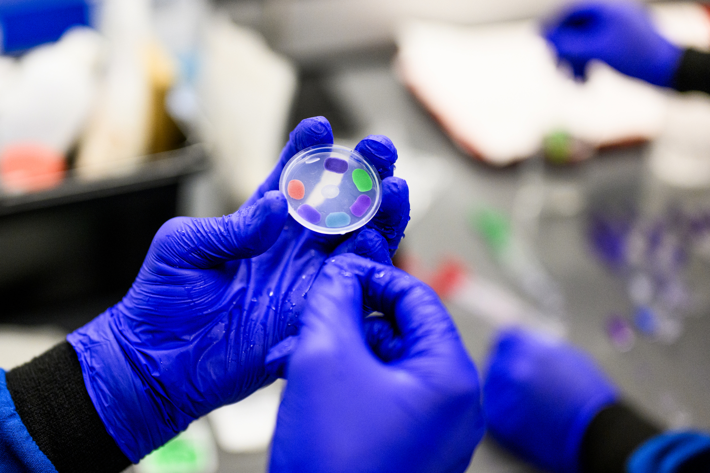 In This Chem Class, Students Create Their Own Cosmetics