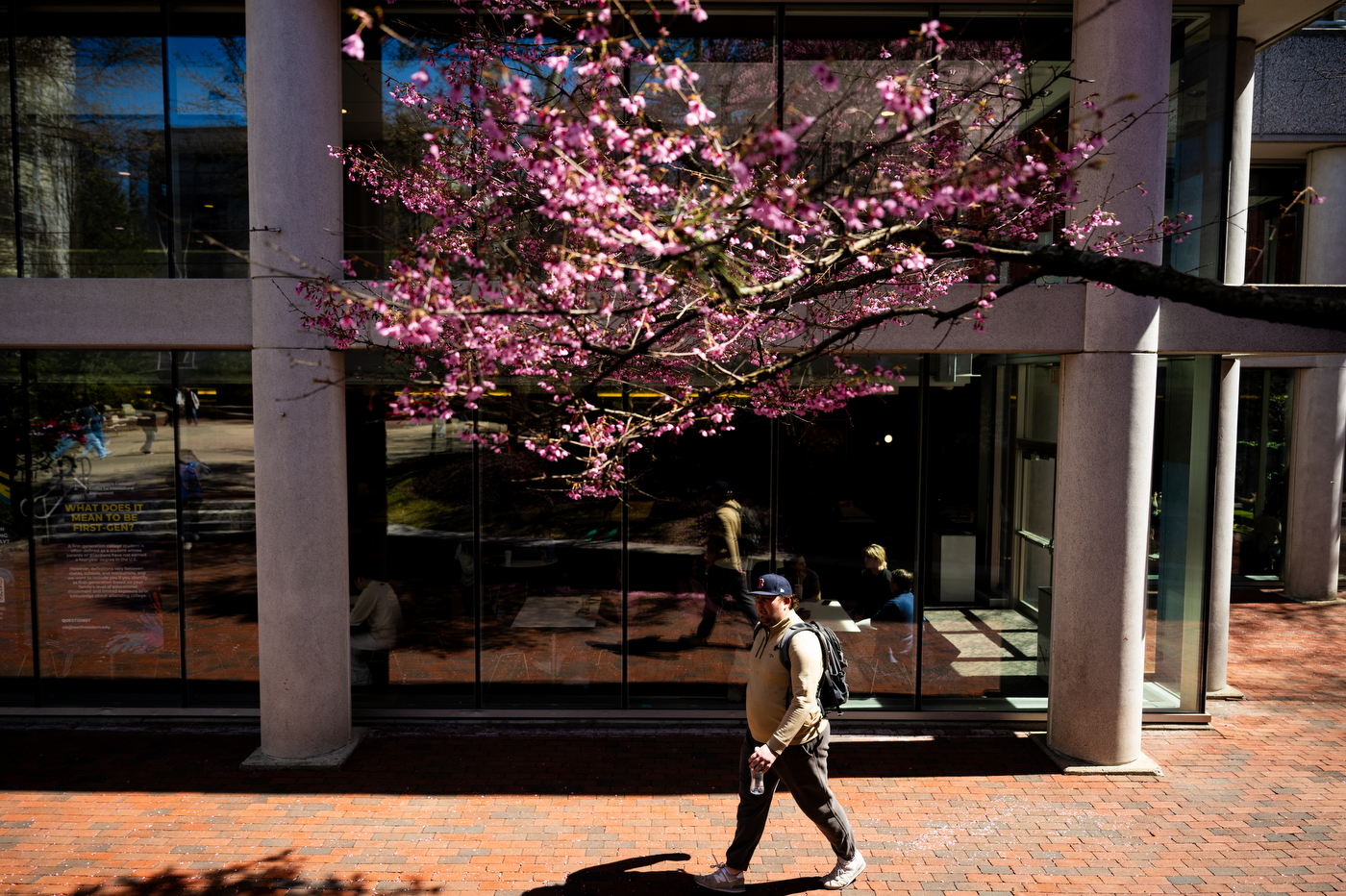 Photos: RISE Expo, academic achievements and off-campus cleanup ...