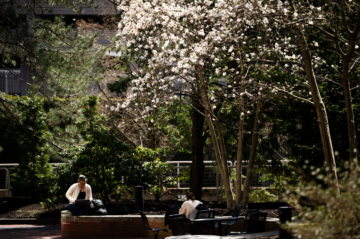 Photos: RISE Expo, academic achievements and off-campus cleanup ...