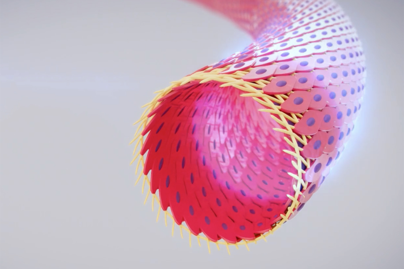 Watchdogs Petition FDA to Revoke the Approval of Medical Device