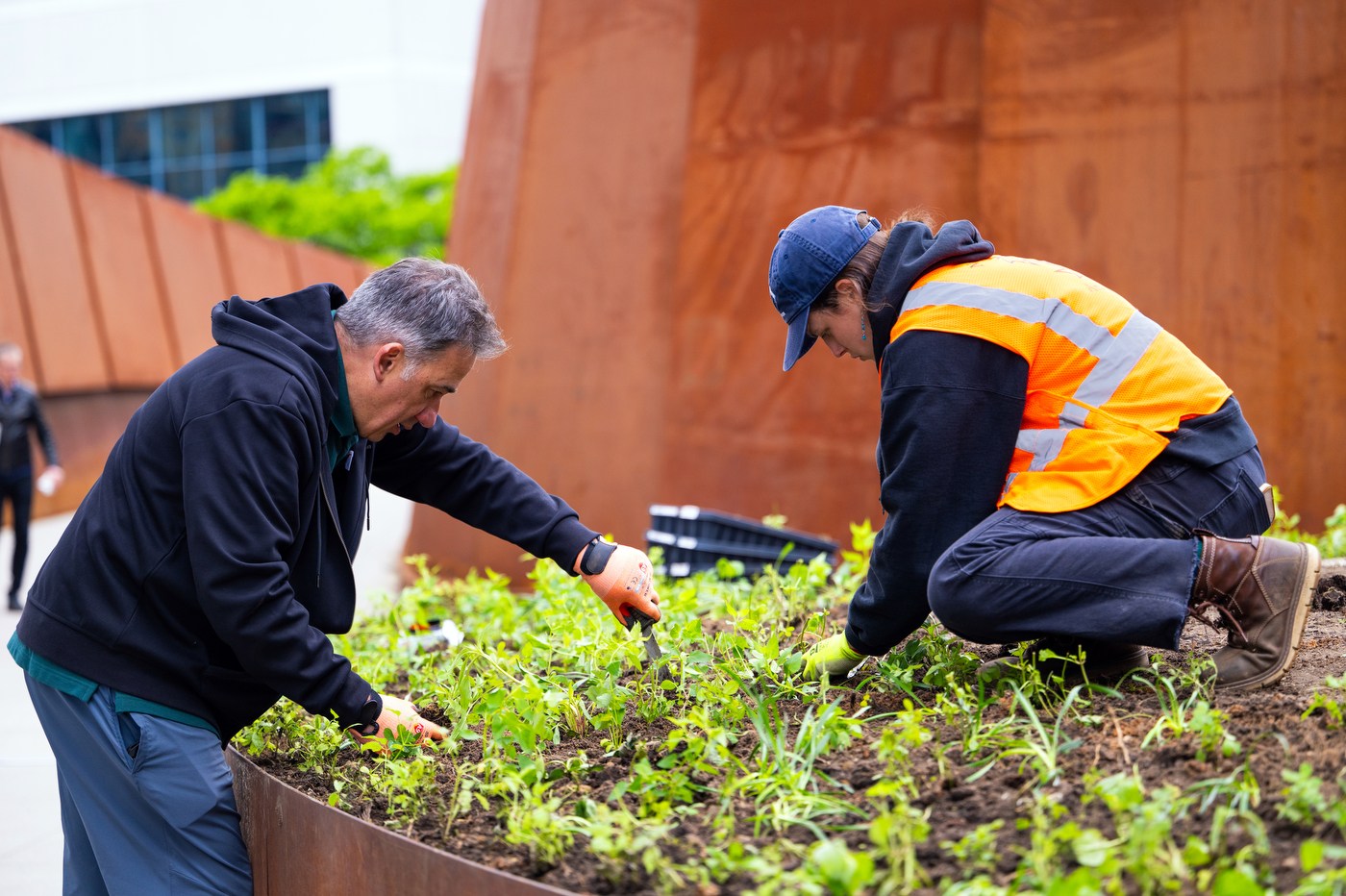 Campus cultivators - Northeastern Global News