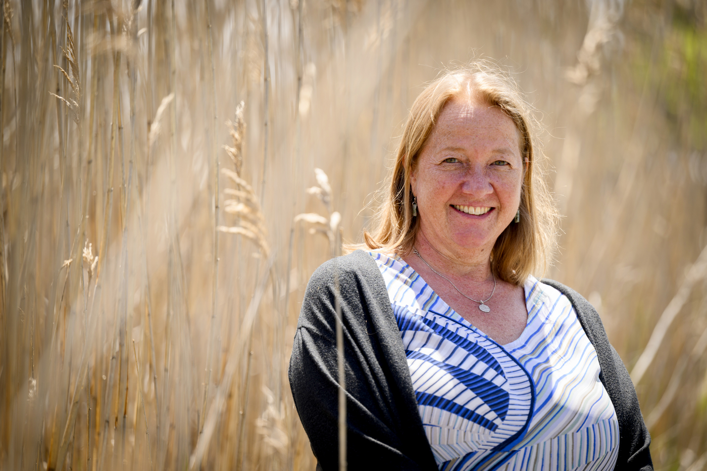 How Manmade Runnels Are Helping Salt Marsh Restoration