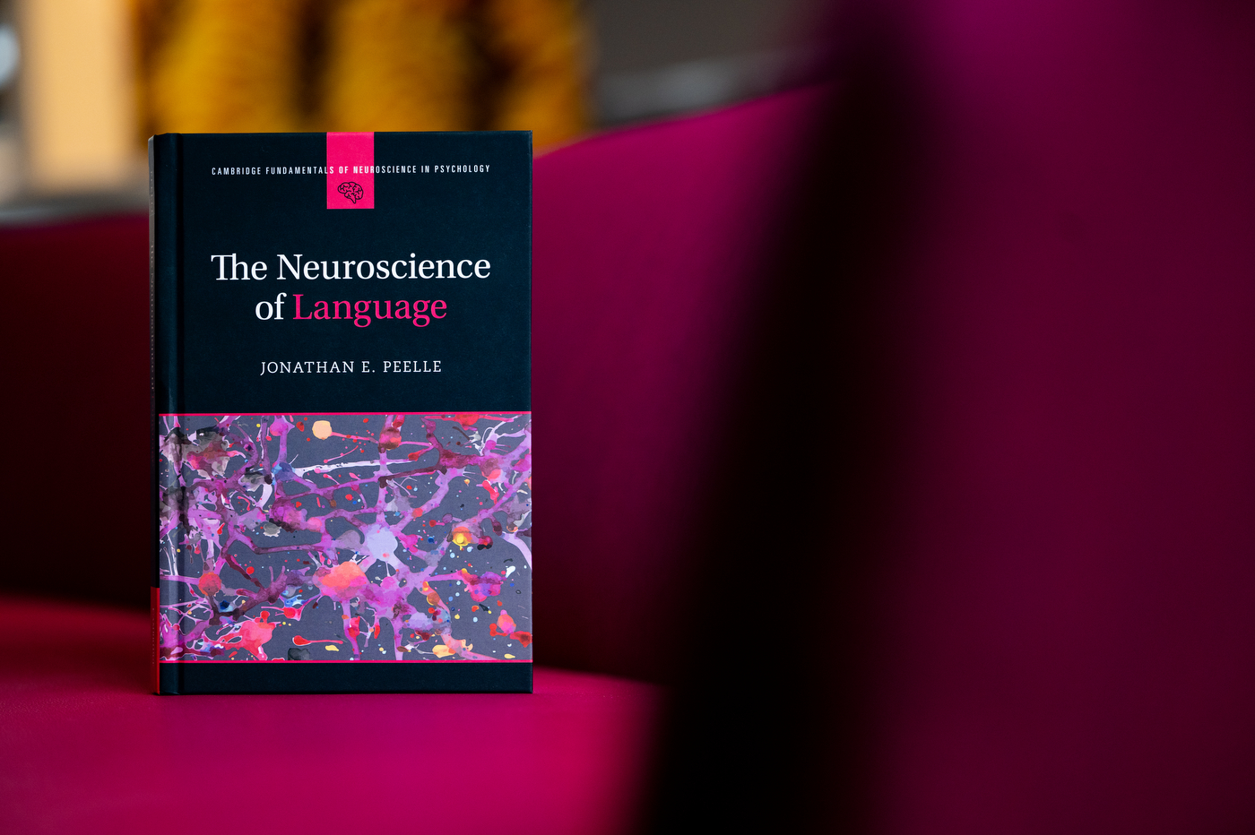 How Does the Brain Support Communication?