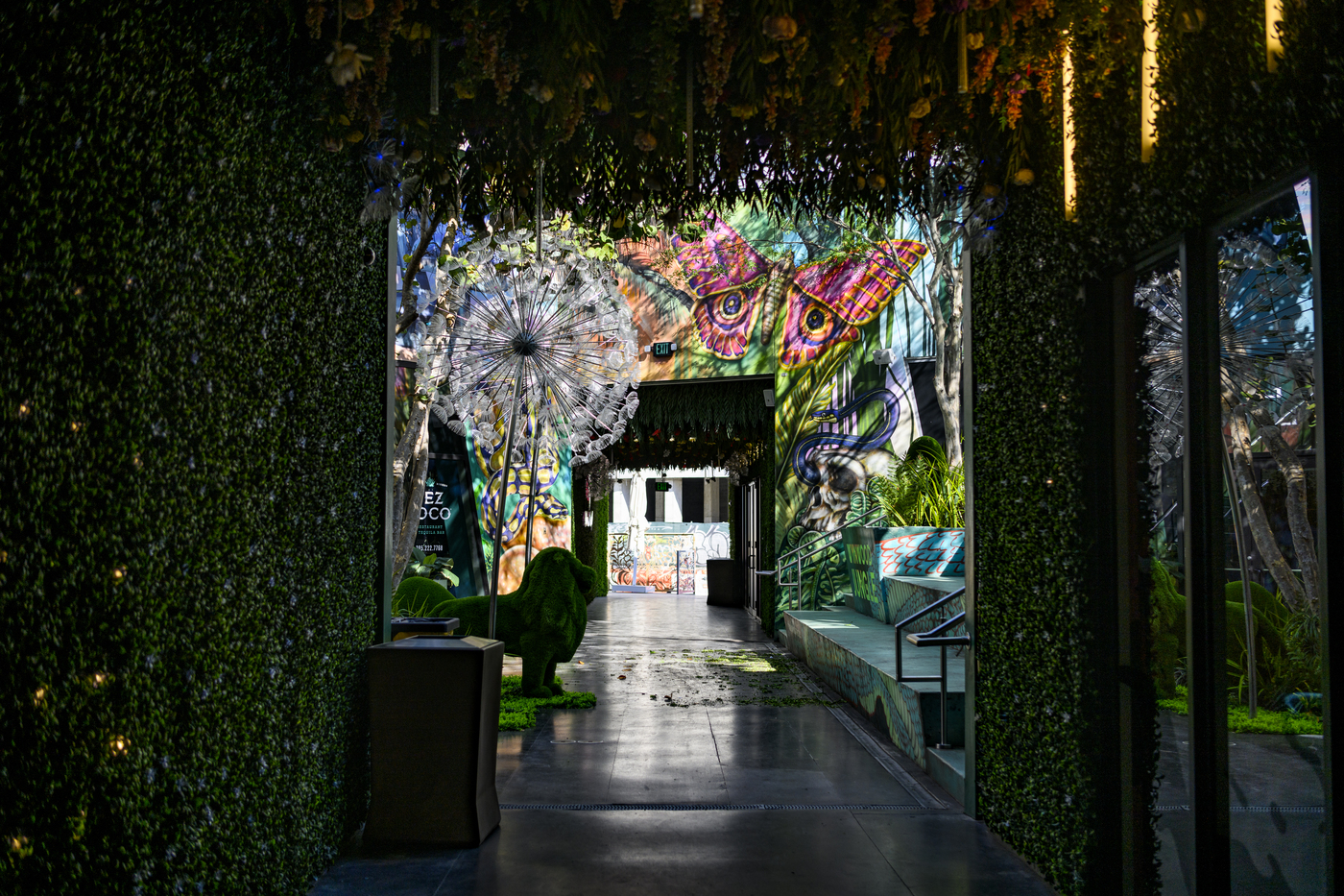 Things to Do in Miami's Wynwood Neighborhood