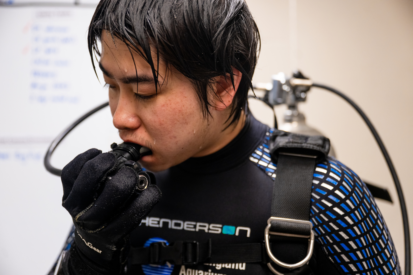 Students Befriend Turtles and Penguins at Aquarium Co-op