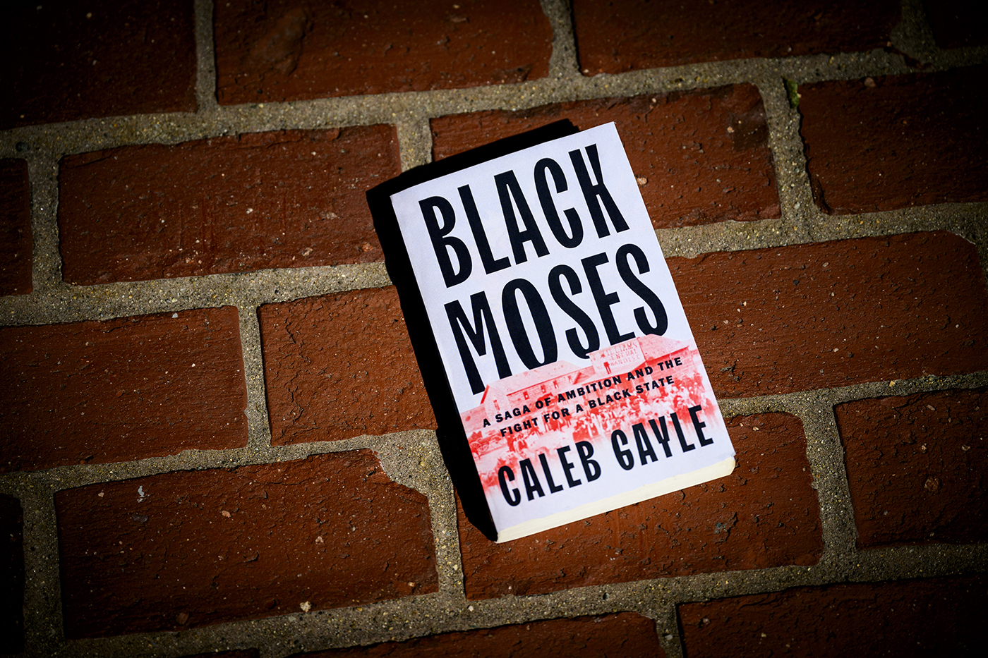 Edward McCabe's Quest for Black State Explored in New Book