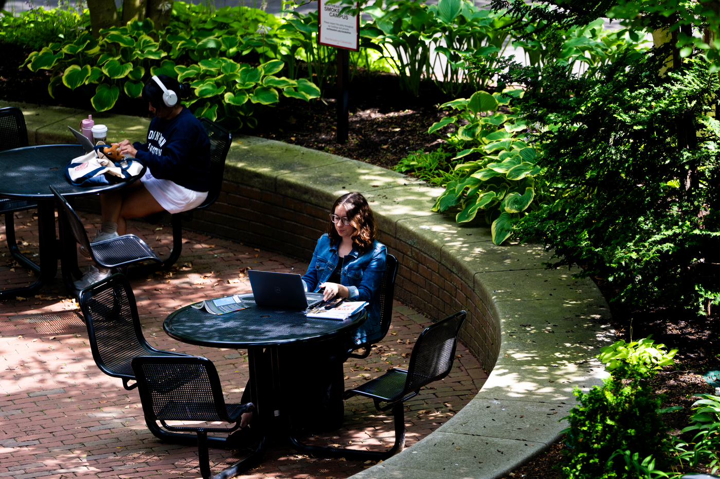 Photos: Campus life, beach views and lab research capture summer at ...