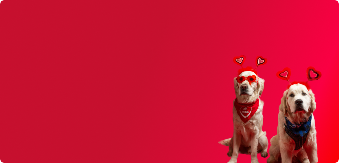 Information for Northeastern Parents and Families - Northeastern Global ...