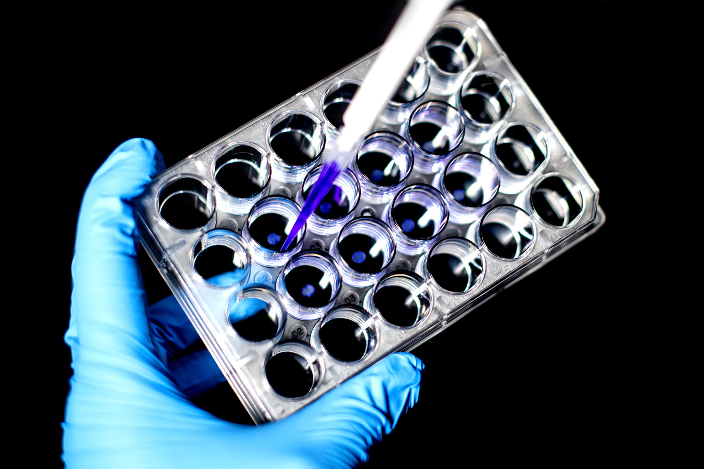Northeastern Bioinnovation Center Merges AI & Industry