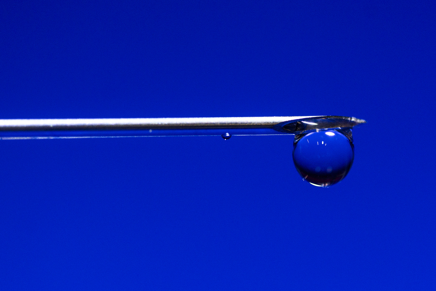 Can Sunscreen Be Toxic?