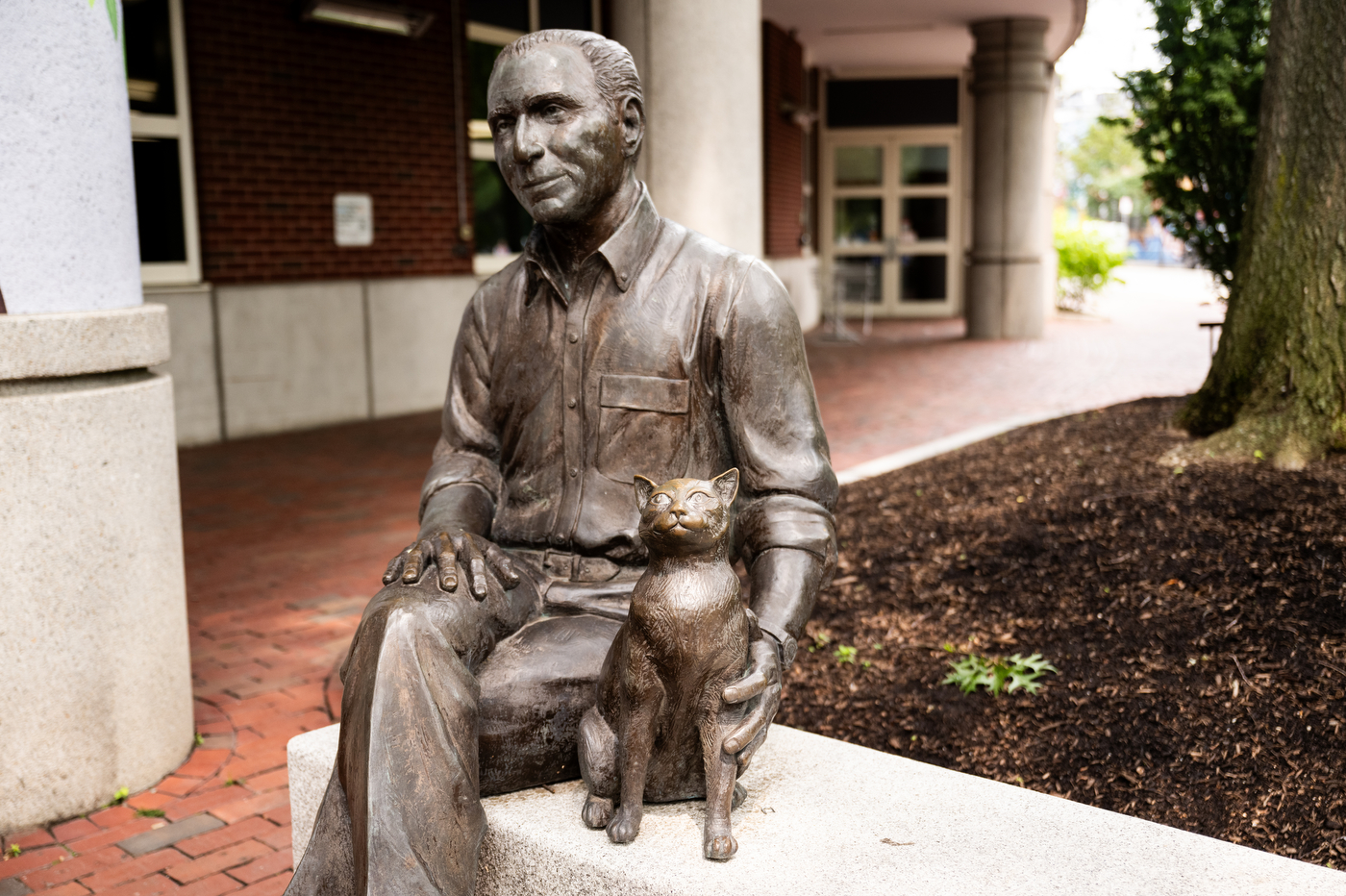 Art Scene: A Man and a Cat Named Yitz (aka Shillman Cat)