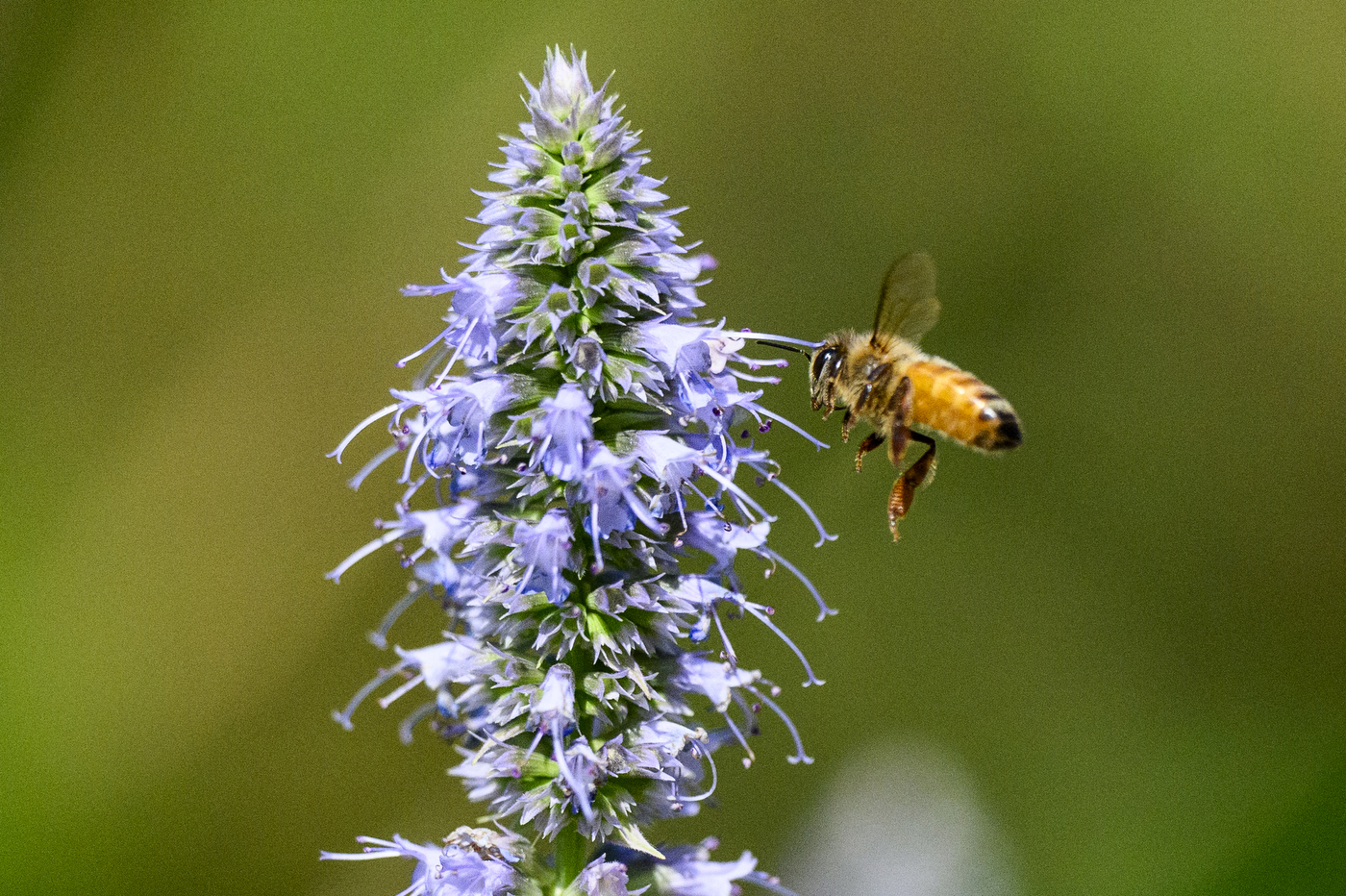 Photos: Outdoor studies, water droplets and a flexible robot ...