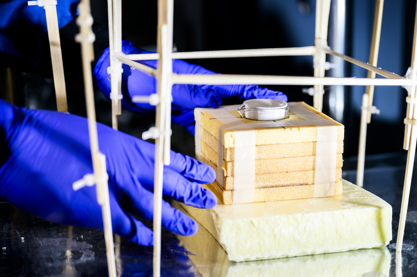 Crab Shells Inspire Solar Desalination Breakthrough